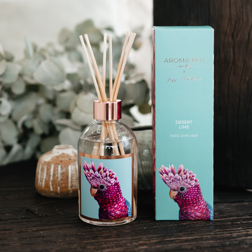 Australian artist reed diffuser | Desert Lime – Aroma Pot Candles