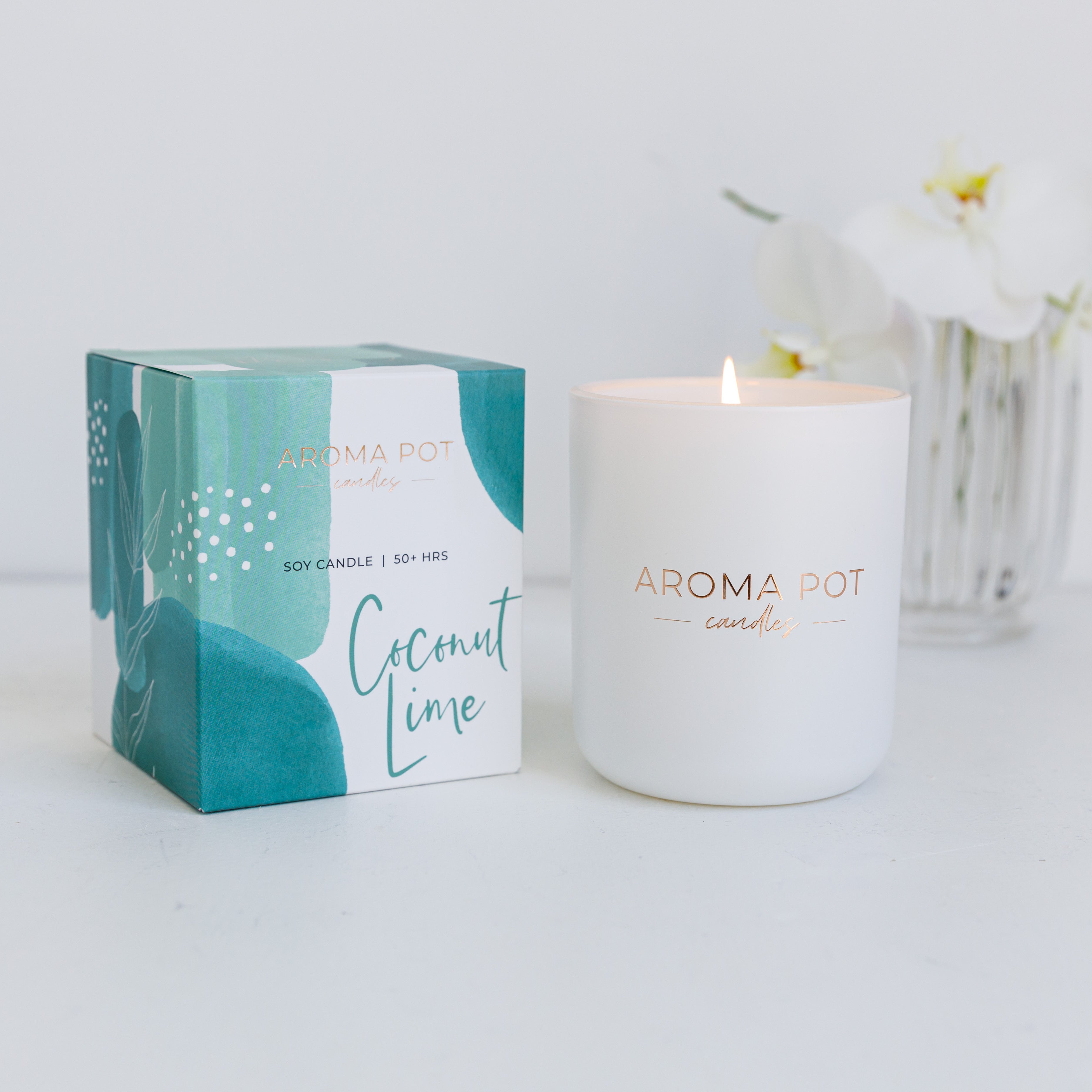 Aroma Pot Classic Candle | Coconut Lime | 50+hrs – Aroma Pot Candles